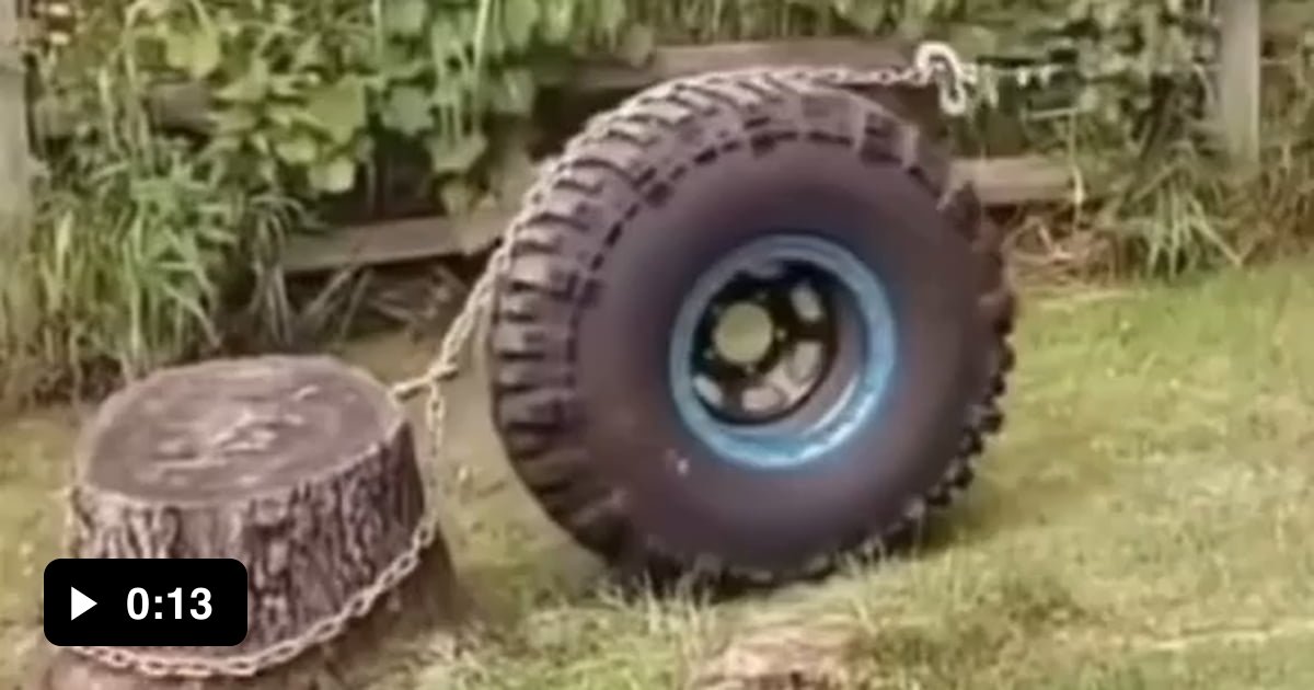 This is how you remove a tree stump. Simple physics - 9GAG