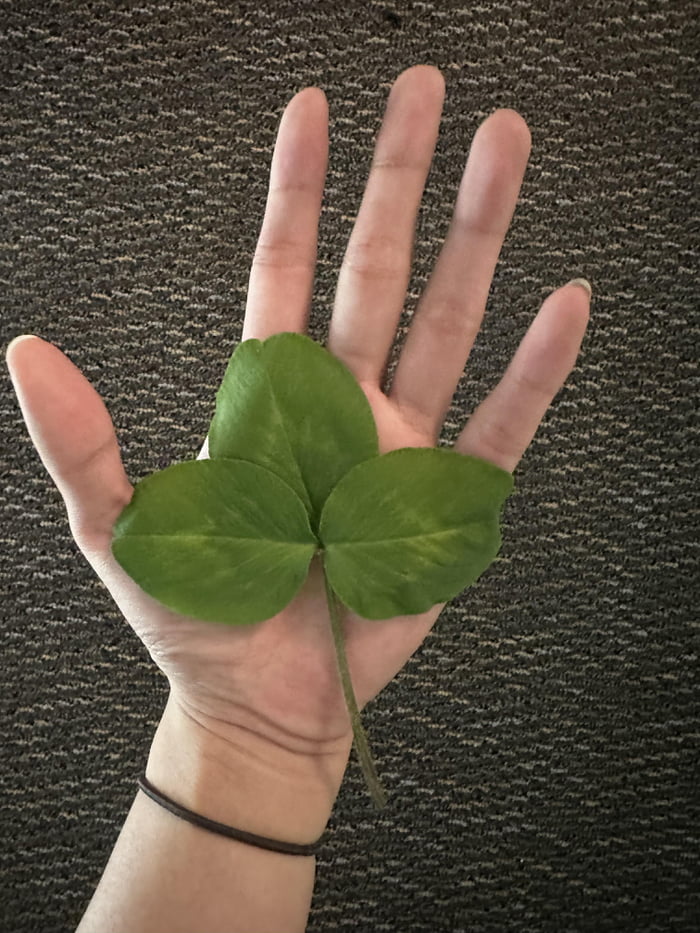 Of a clover - 9GAG