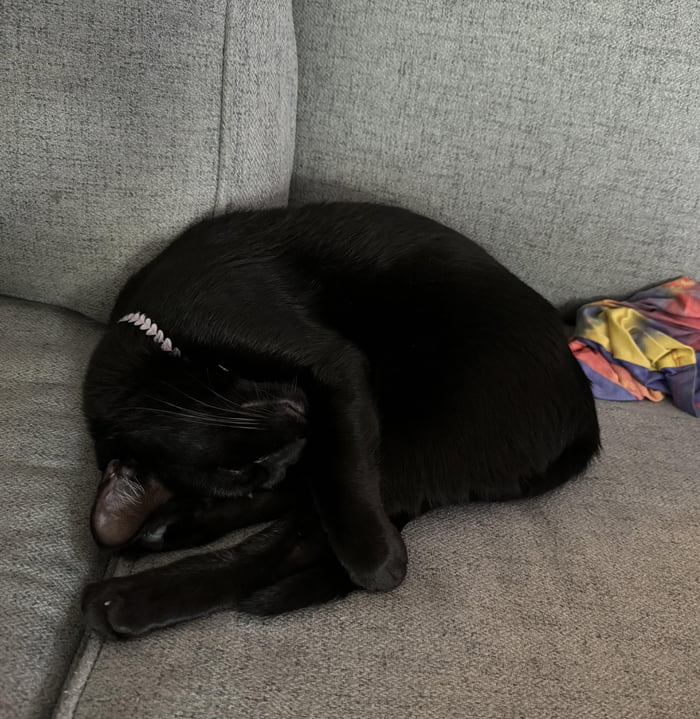 Post a pic of your sleeping void 💤 - 9GAG