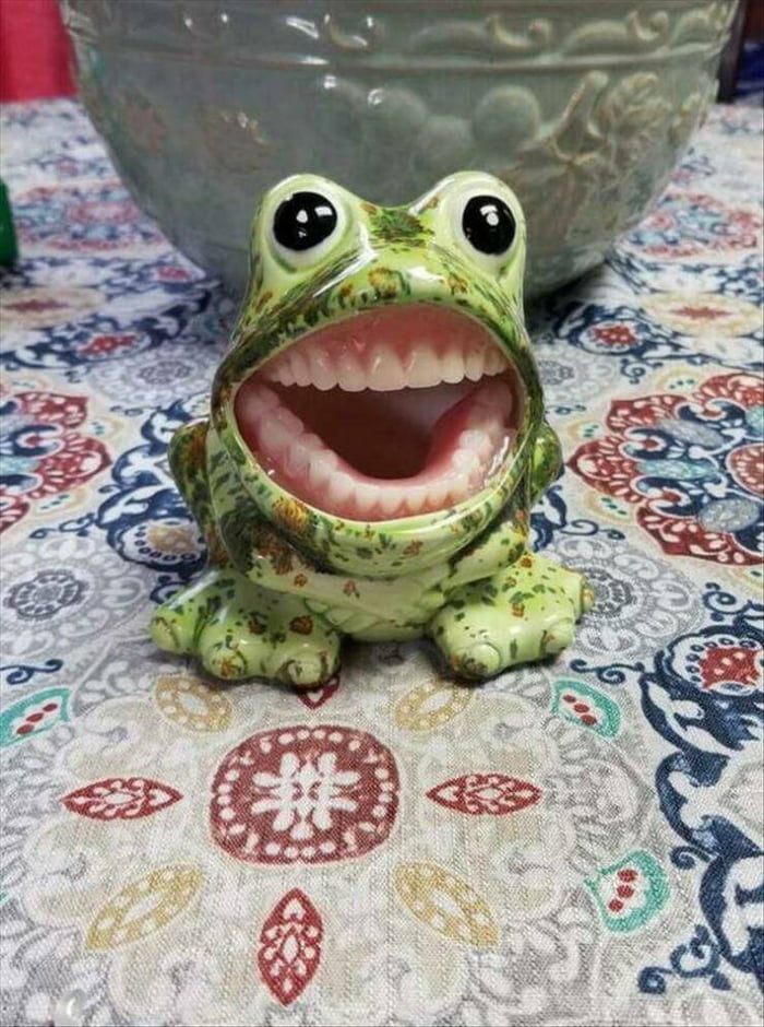 He doesn't bite on Wednesday. - 9GAG