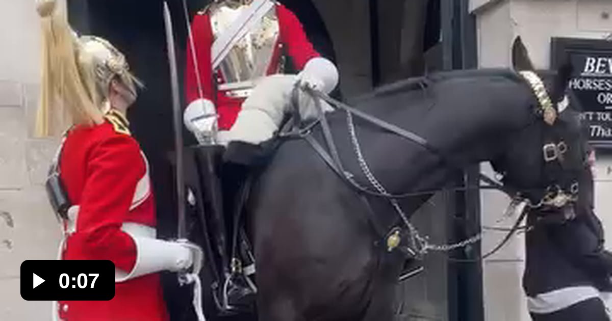 I can't read the sign, let's have a closer look... - 9GAG