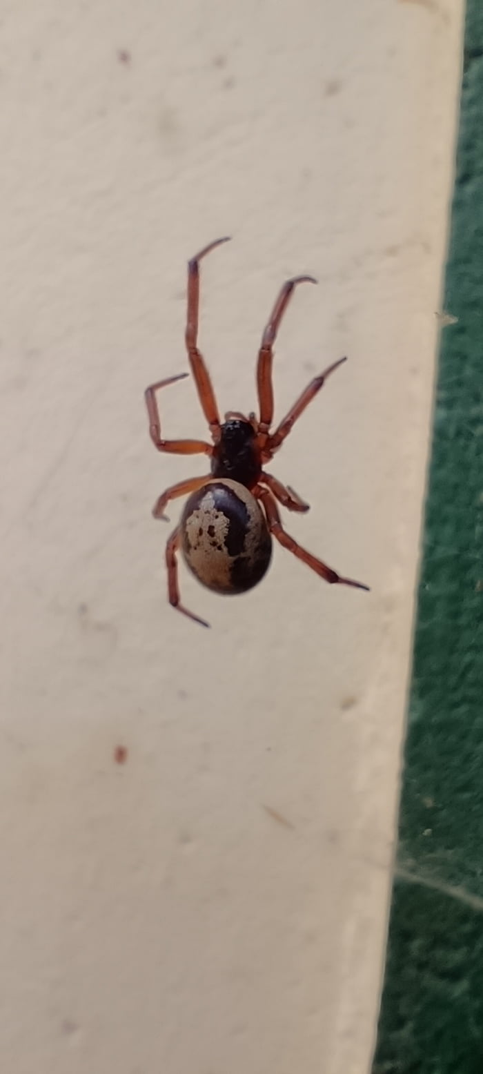 Do you think that it can eat people? - 9GAG