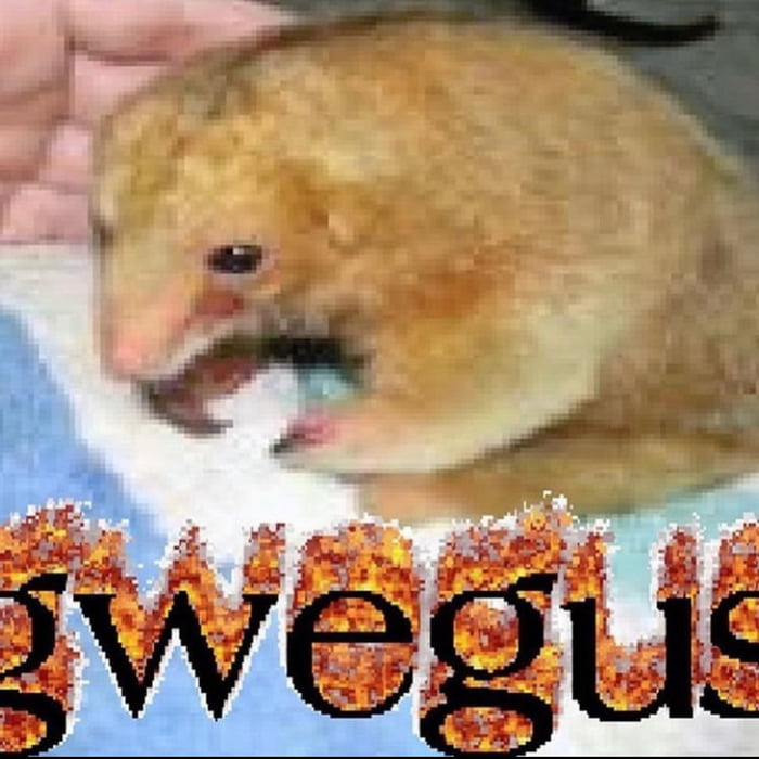 When you see something truly cursed online. - 9GAG