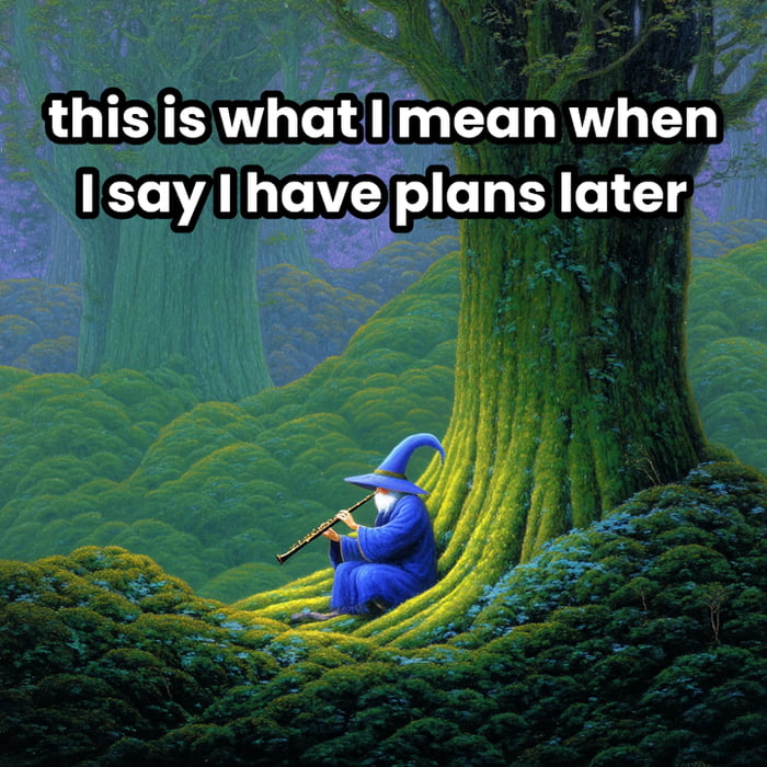 Important plans cant skip sorry - 9GAG