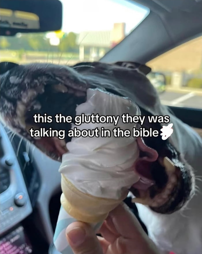 He getting the whole thing in one bite - 9GAG