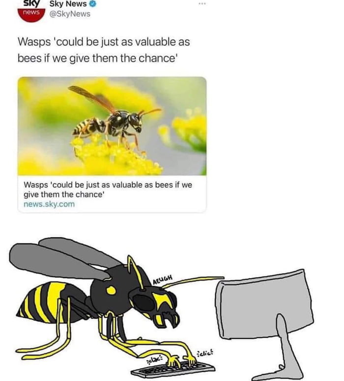 Wasps are misunderstood - 9GAG