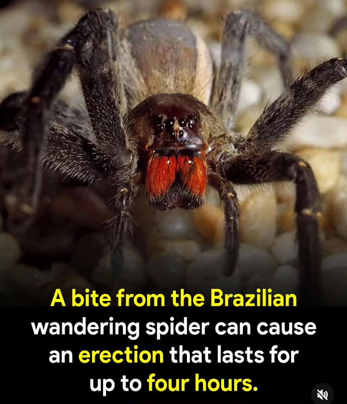 Ohh my god... where? - 9GAG