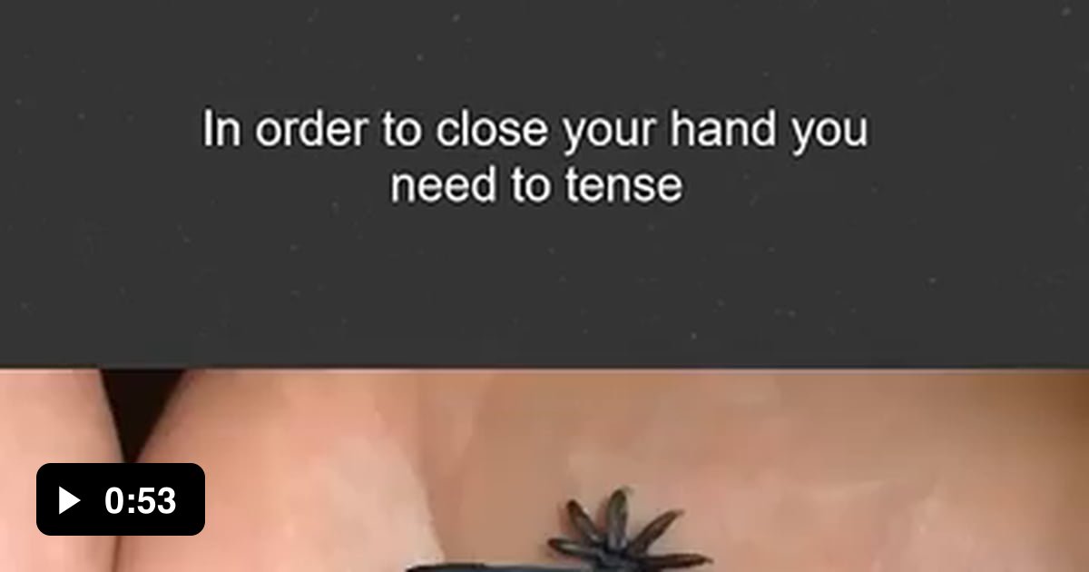 How do Bats sleep upside down - 9GAG