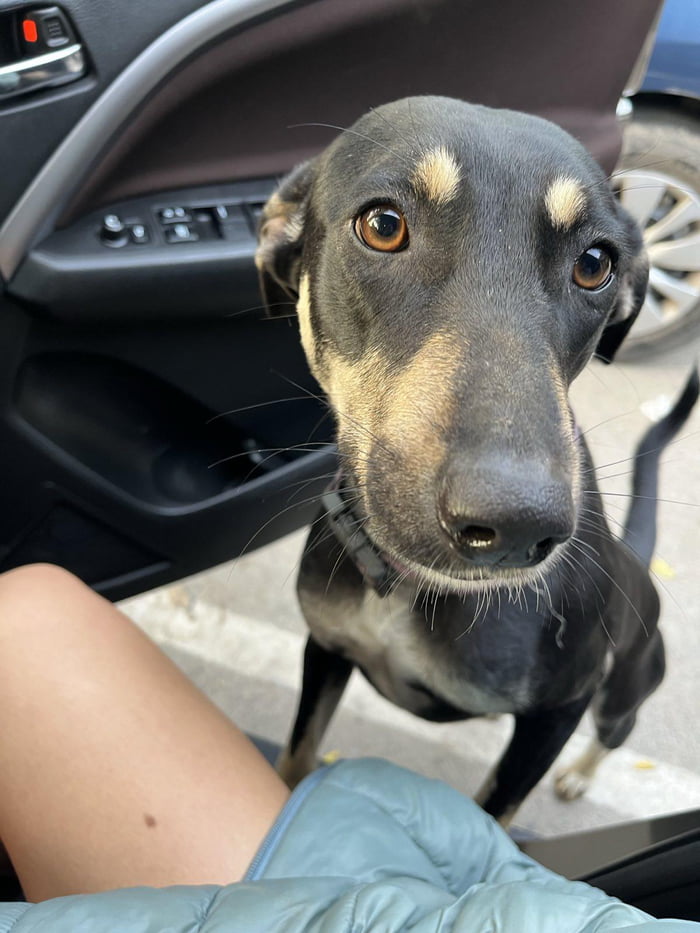 Big marble eyes - 9GAG