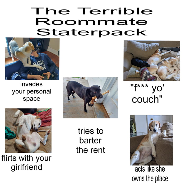 The terrible roommate starterpack - 9GAG