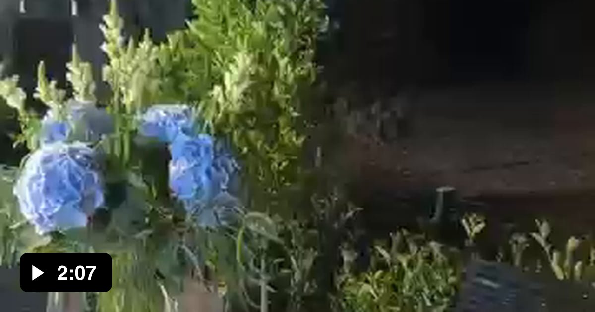 She sells sea shells - 9GAG