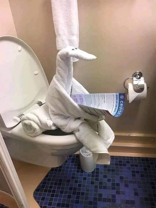 Morning Shit - 9GAG