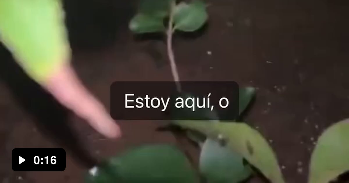 Girl grabbing a tree to escape flooding in Valencia Spain. Fortunately ...