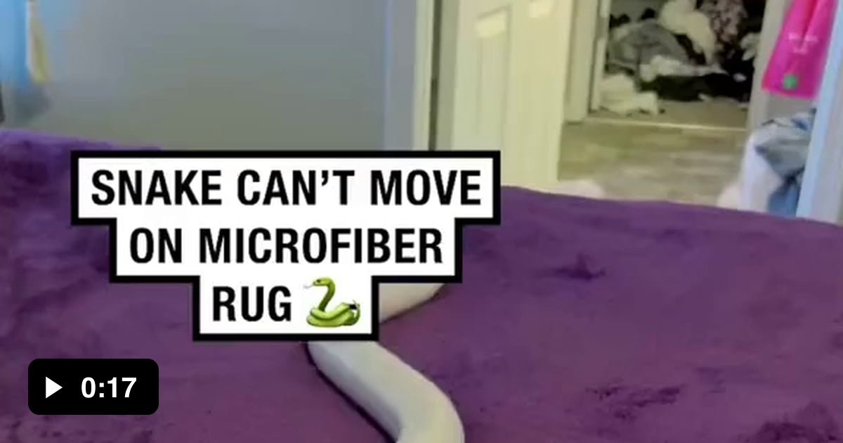 Snake got some move - 9GAG