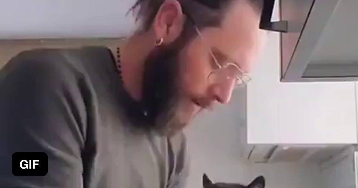 Cat and owner - 9GAG