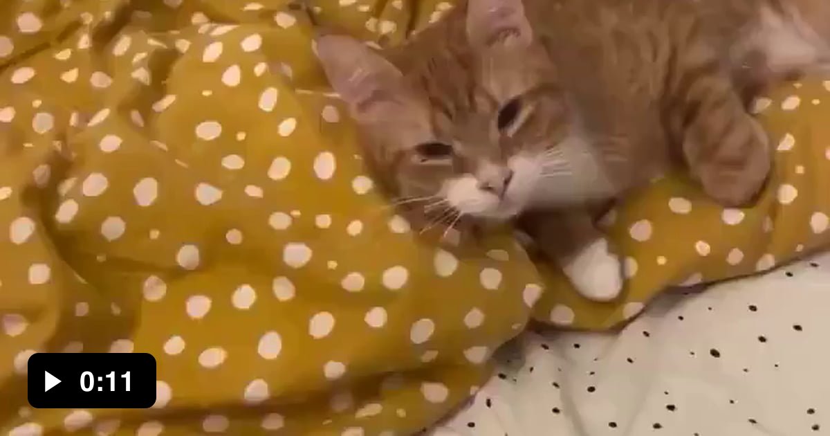 The final boss of nonchalance 😂😂 - 9GAG