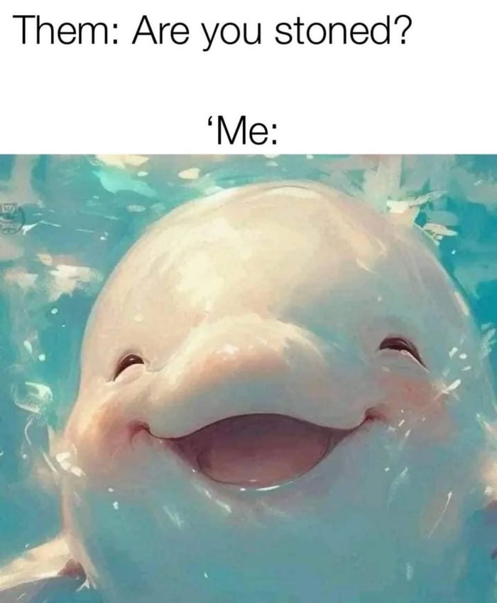 How can you tell? - 9GAG