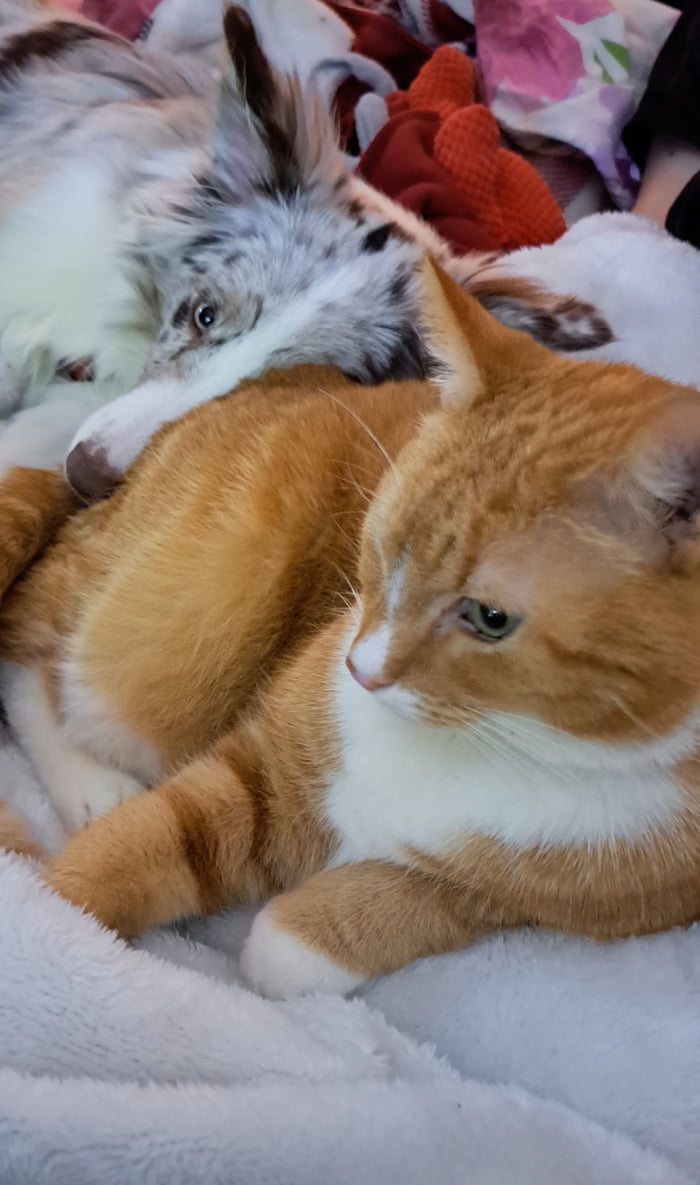 This is MAX, from Germany. Next to KIRA, his friend. - 9GAG