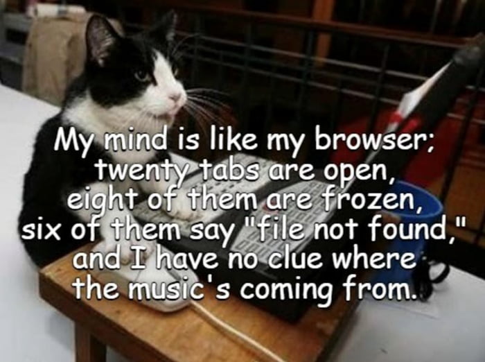 Tabs for cats - 9GAG