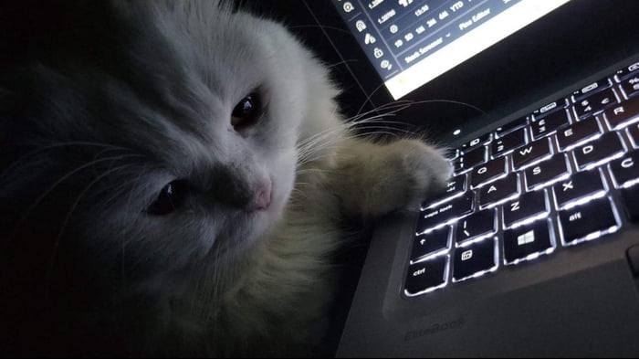 Overtime office worker - 9GAG