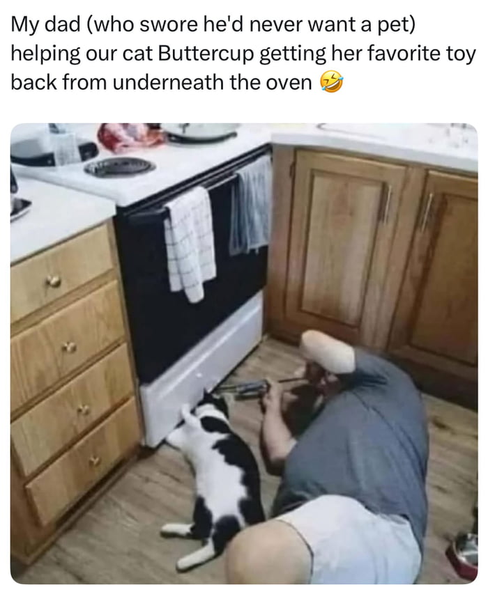 The "no pets" dad doing overtime. - 9GAG