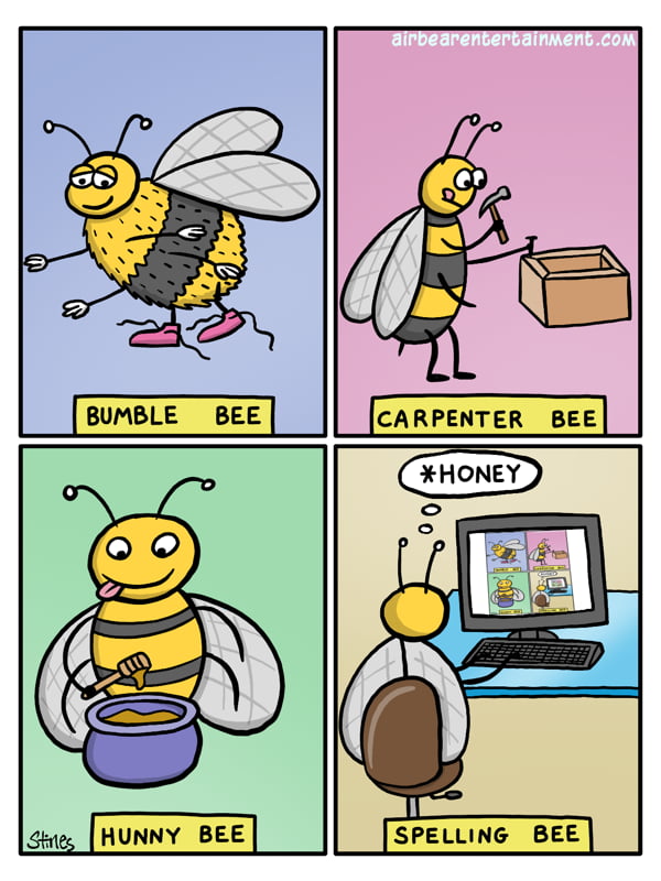 A look at different types of bees. - 9GAG