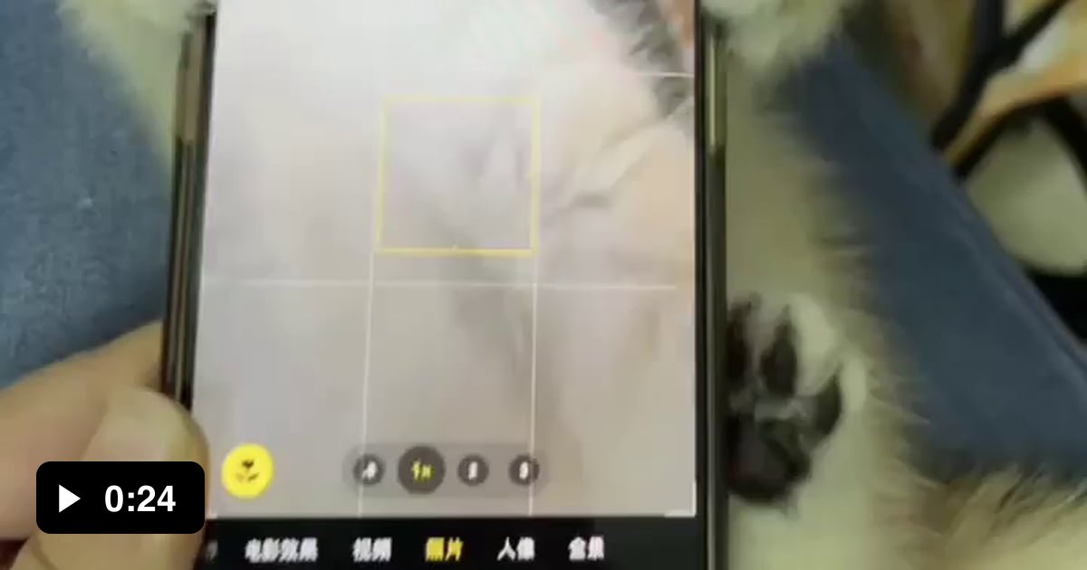 When you accidentally open the front camera... - 9GAG