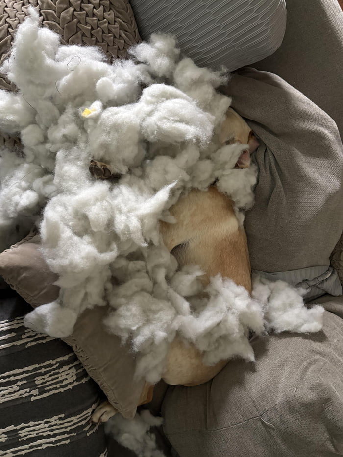 At least he’s comfy - 9GAG