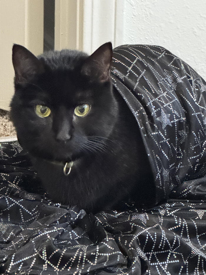 Wizard’s apprentice - 9GAG