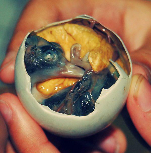 Balut is a fertilized duck egg that is boiled and steamed. Does this ...
