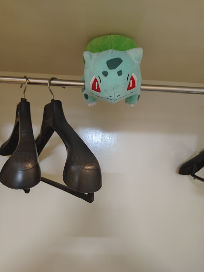 Guys, a wild bulbasaur has appeared in my cupboard out of nowhere ...