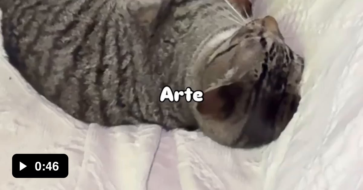 A little tiff without losing the friendship - 9GAG