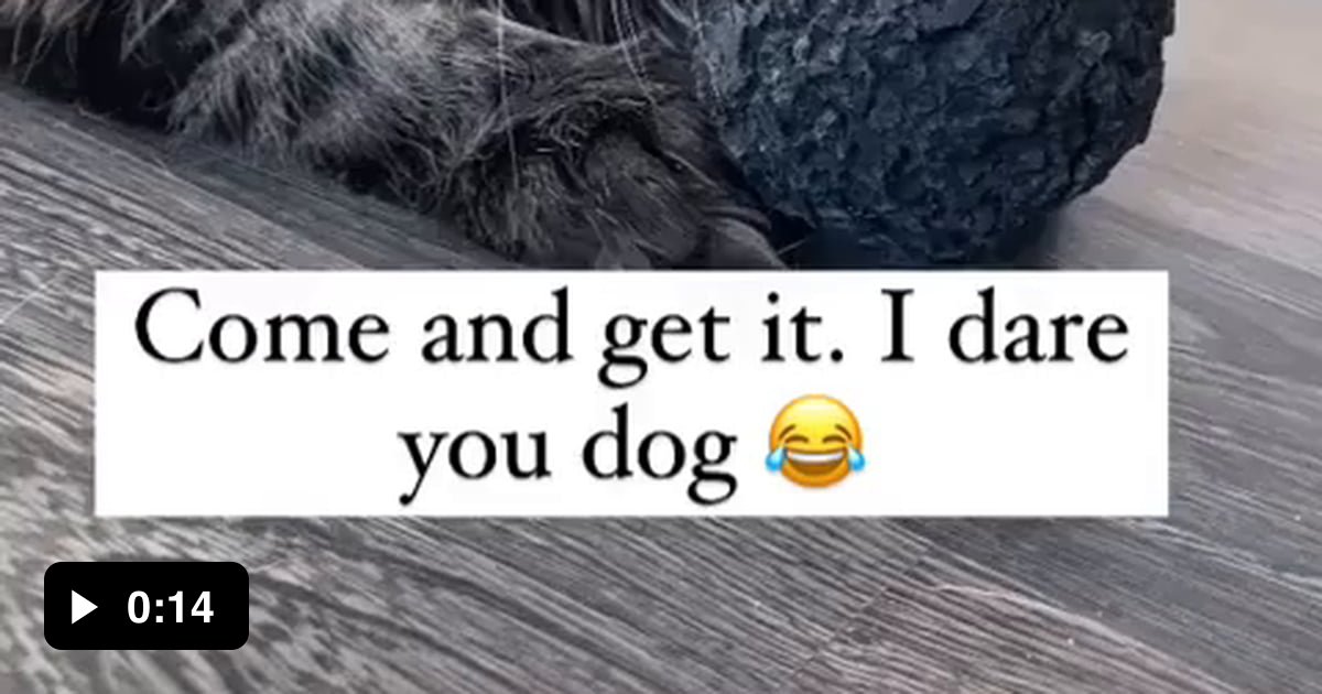 Come and get it dog - 9GAG