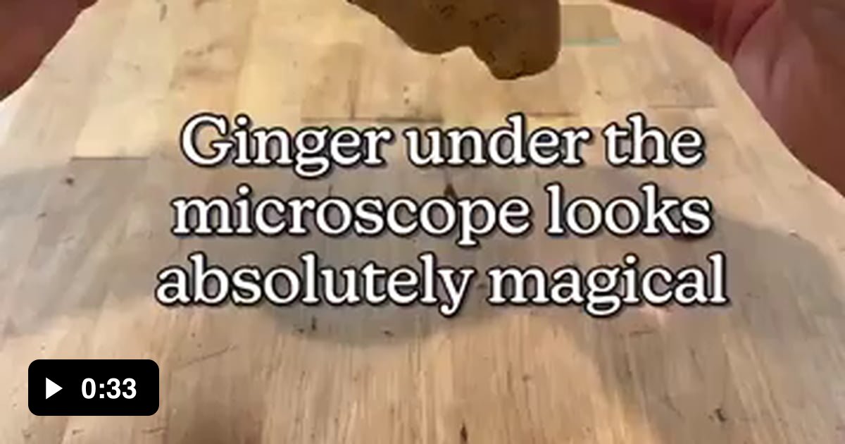 Ginger under the microscope - 9GAG