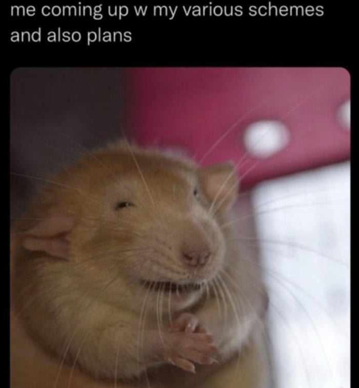 I got them schemes and them plans and also more schemes - 9GAG