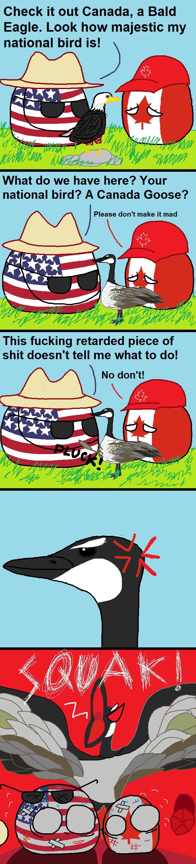 The Canada Goose - 9GAG