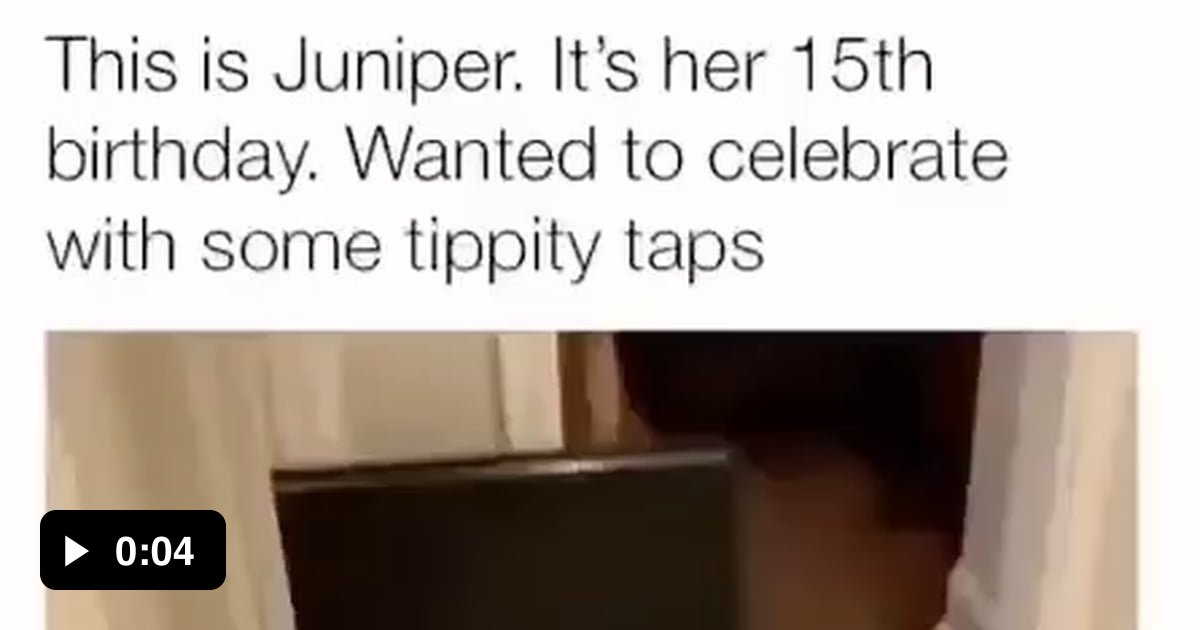 Wholesome tippy taps - 9GAG