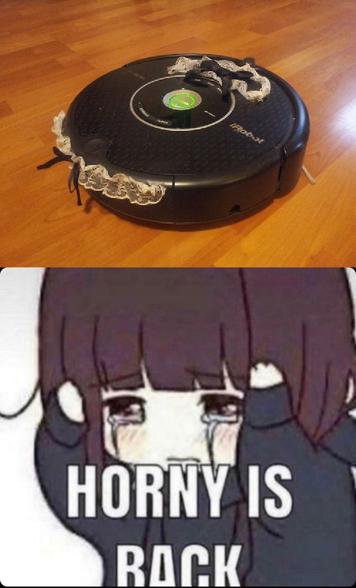 Sexy Roomba - 9GAG
