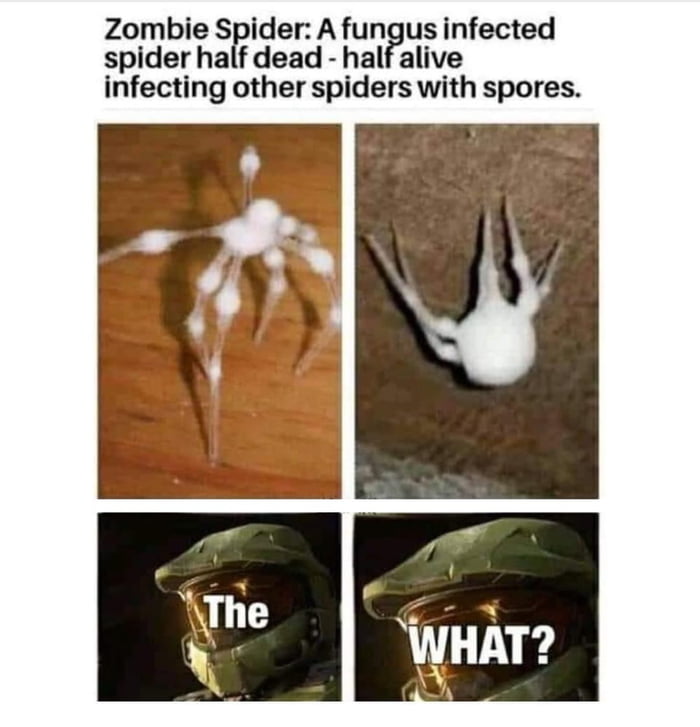 Call the Doom Slayer - 9GAG