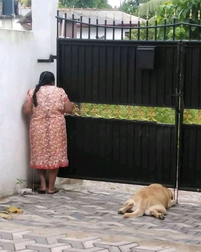 Security system with two cameras - 9GAG