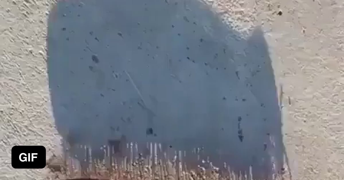 Shadow of a Millipede walking - 9GAG