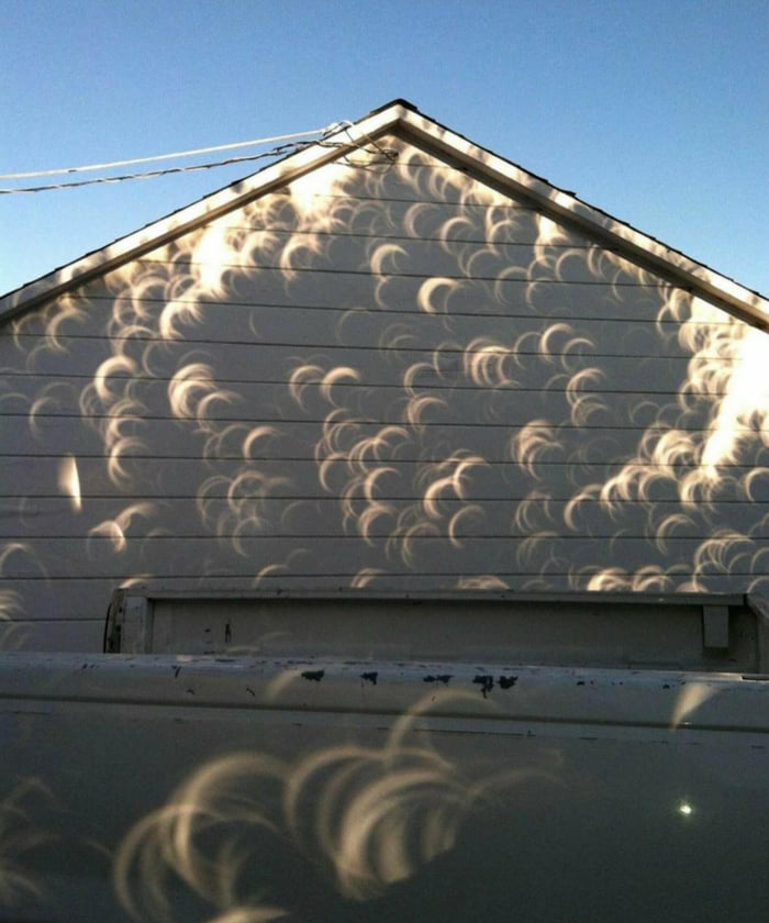 Shadow casted by a tree during eclipse - 9GAG
