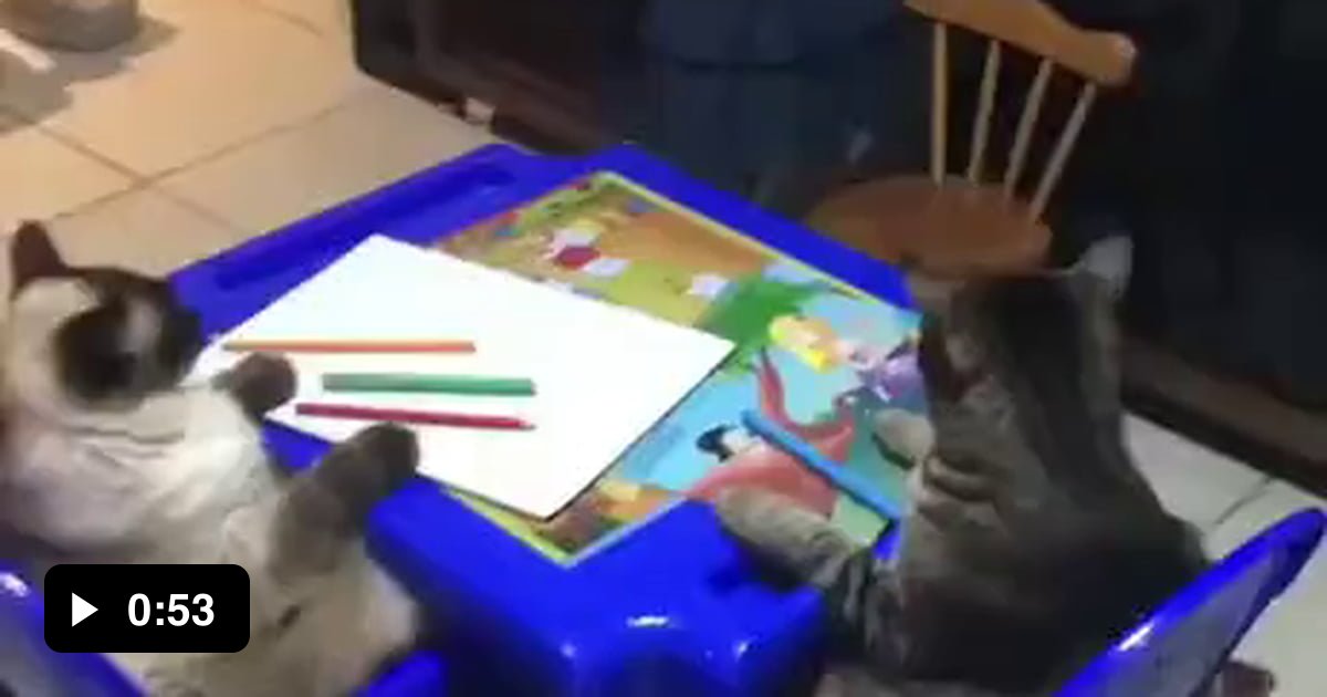 Wtheck are we studying again? - 9GAG