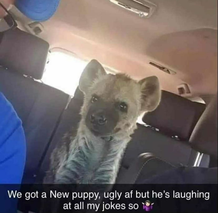 Normal things - 9GAG