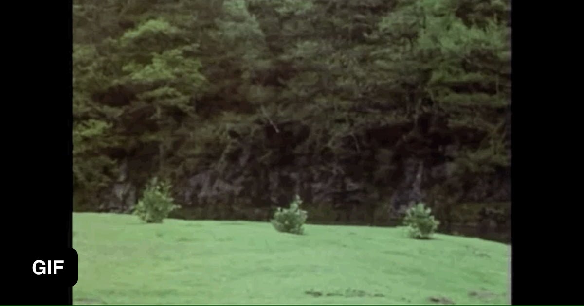 Exploding trees are everywhere. Be careful folks. - 9GAG