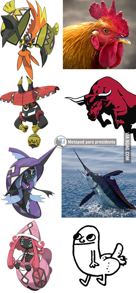 The Tapus are so majestic - 9GAG