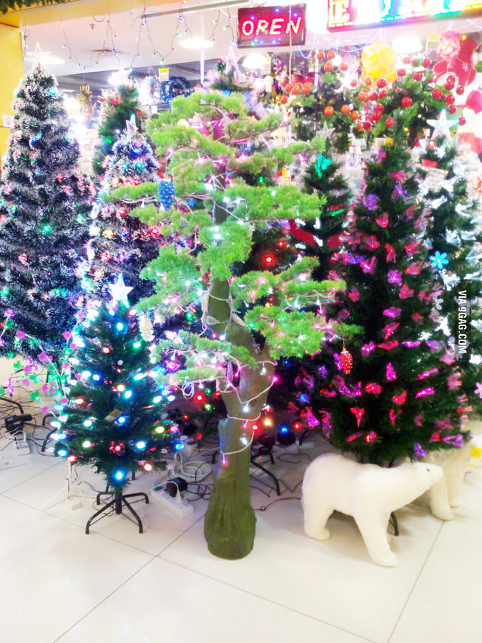 Theres a bonsai xnas tree at the dollar store.. - 9GAG
