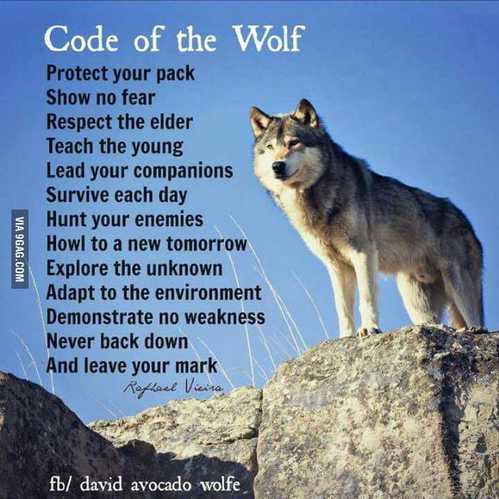Code Of The Wolf 9GAG Code Of The Wolf 9GAG