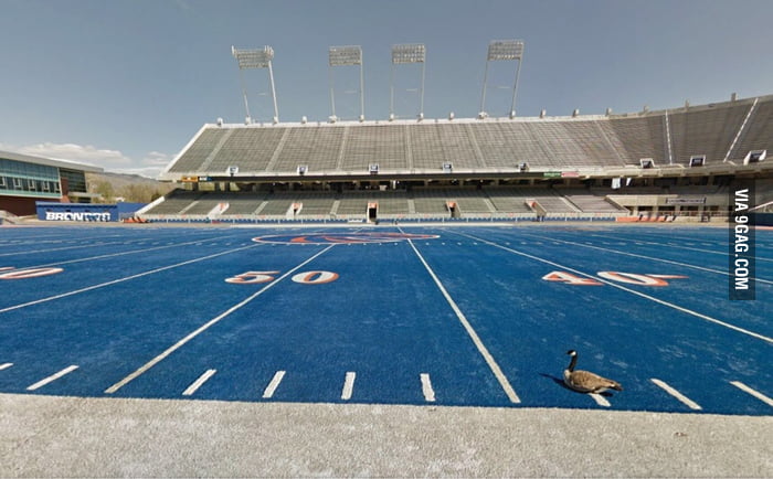 Boise State's Blue Football Field is confusing - 9GAG