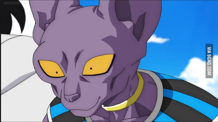 The moment you realize that Yamcha touched you - 9GAG